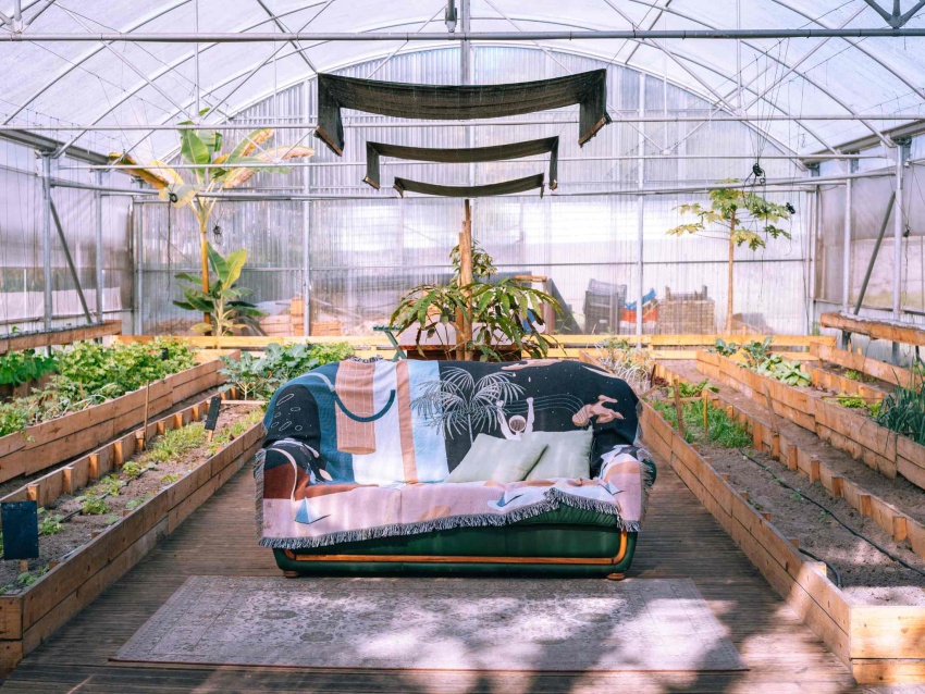 CLIFF Surf Camp - Now in a new house - better than ever!